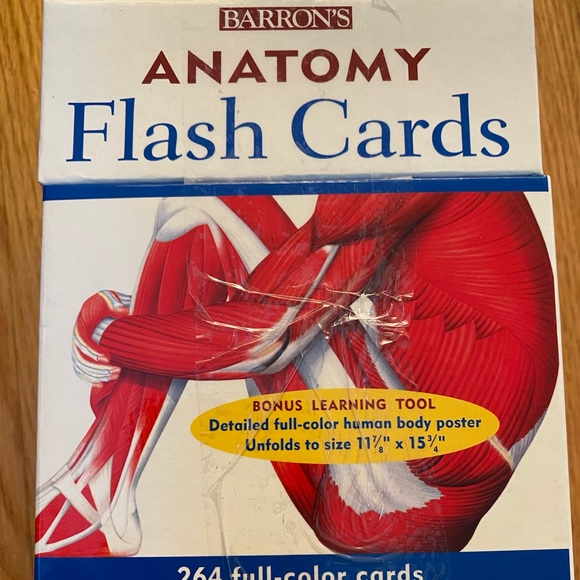barrons | Other | Copy Barrons Anatomy Flash Cards | Poshmark